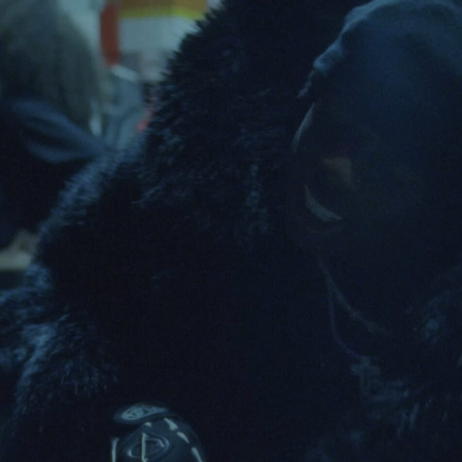 Rema Releases Deluxe Edition for "Raves & Roses Ultra" Album - HWING