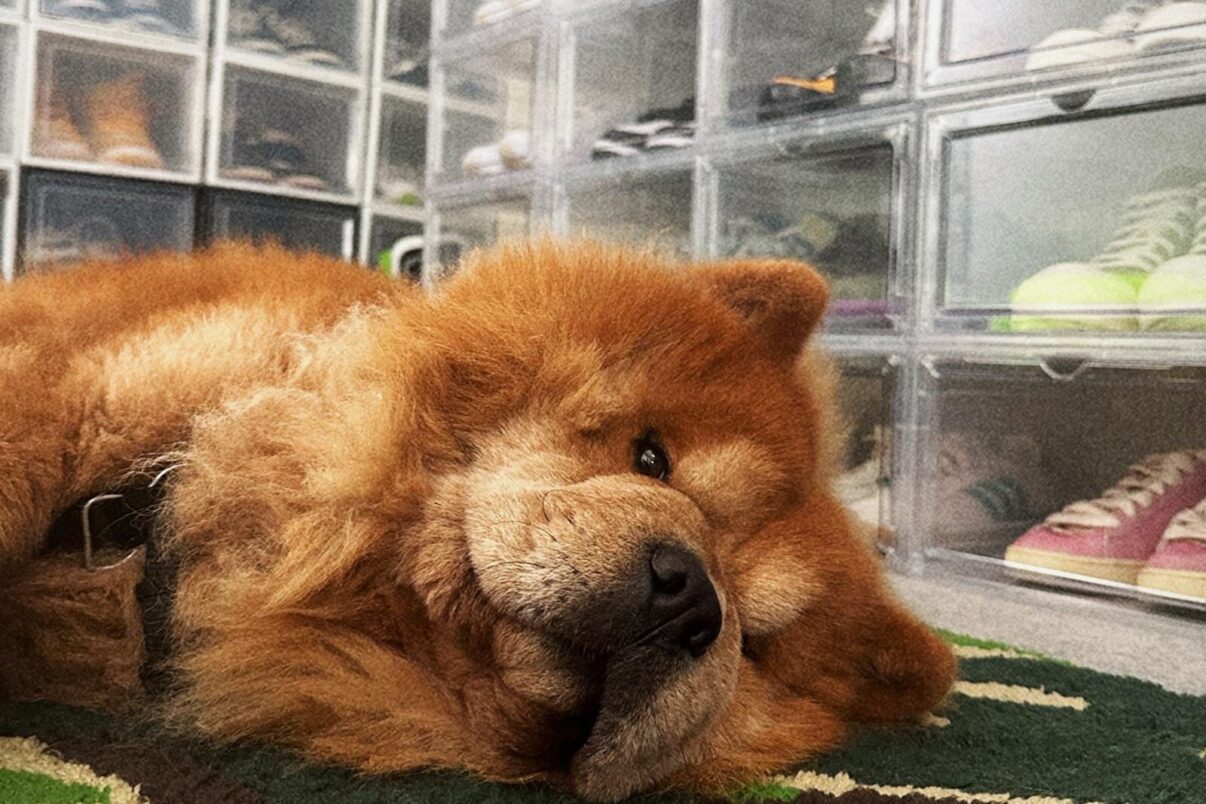 GloRilla Drops New Mixtape 'Ehhthang Ehhthang' Feat. Moneybagg Yo ...